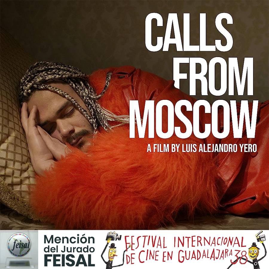 FEISAL – Federación de Escuelas de Imagen y Sonido de América Latina